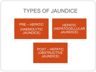 Jaundice | PPTX