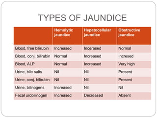 Jaundice | PPTX | Blood Disorders | Diseases and Conditions