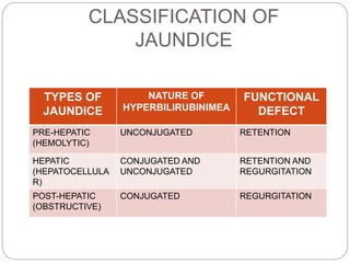 Jaundice | PPTX