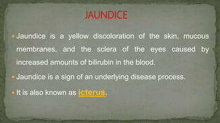 Jaundice | PPTX