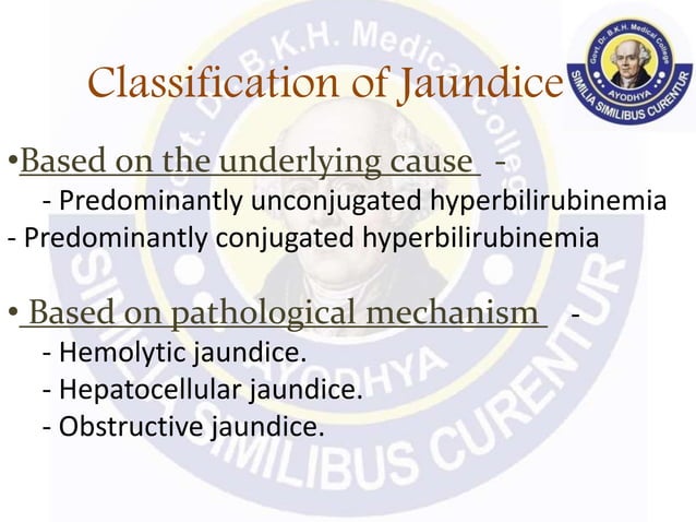 Jaundice Pathology | PPTX | Blood Disorders | Diseases and Conditions