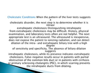 Jaundice | PPTX | Skin and Dermatology | Diseases and Conditions