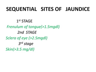 Jaundice | PPTX