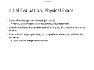JAUNDICE.pptx