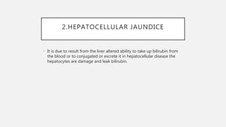 Jaundice.pptx