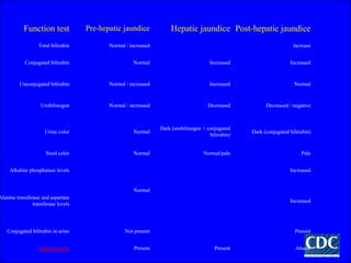 jaundice.pdf
