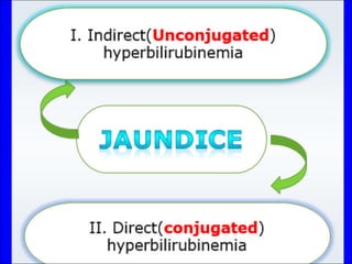 jaundice.pdf | Blood Disorders | Diseases and Conditions