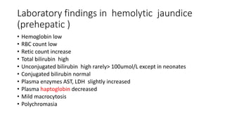 jaundice.pptx | Blood Disorders | Diseases and Conditions