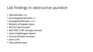 jaundice.pptx | Blood Disorders | Diseases and Conditions