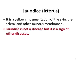 Jaundice.pptx