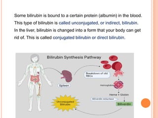 JAUNDICE. GI disorders ... everything... | PPTX | Digestive Disorders ...
