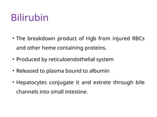 JAUNDICE-.ppt_Biochemistry for nursing students | PPT