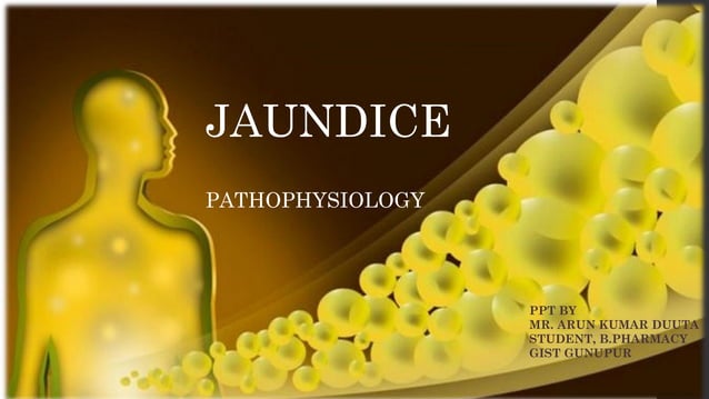 jaundice, PPT by Arun Kumar Dutta, Pathophysiology of Jaundice | PDF