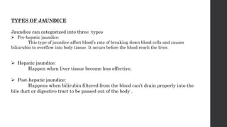 jaundice, PPT by Arun Kumar Dutta, Pathophysiology of Jaundice | PDF