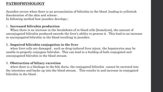 jaundice, PPT by Arun Kumar Dutta, Pathophysiology of Jaundice | PDF