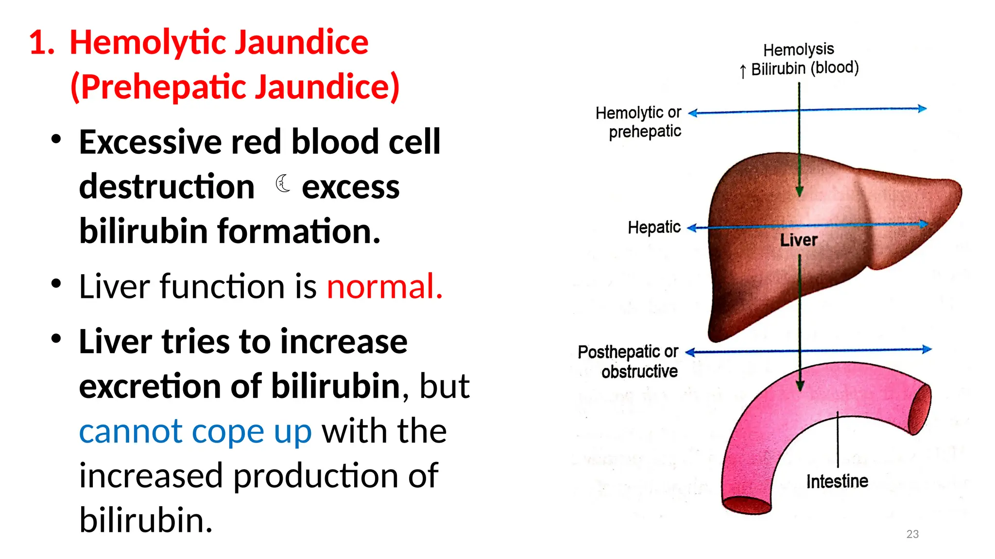 PATHOPHYSIOLOGY OF JAUNDICE AND ITS TYPES.pptx