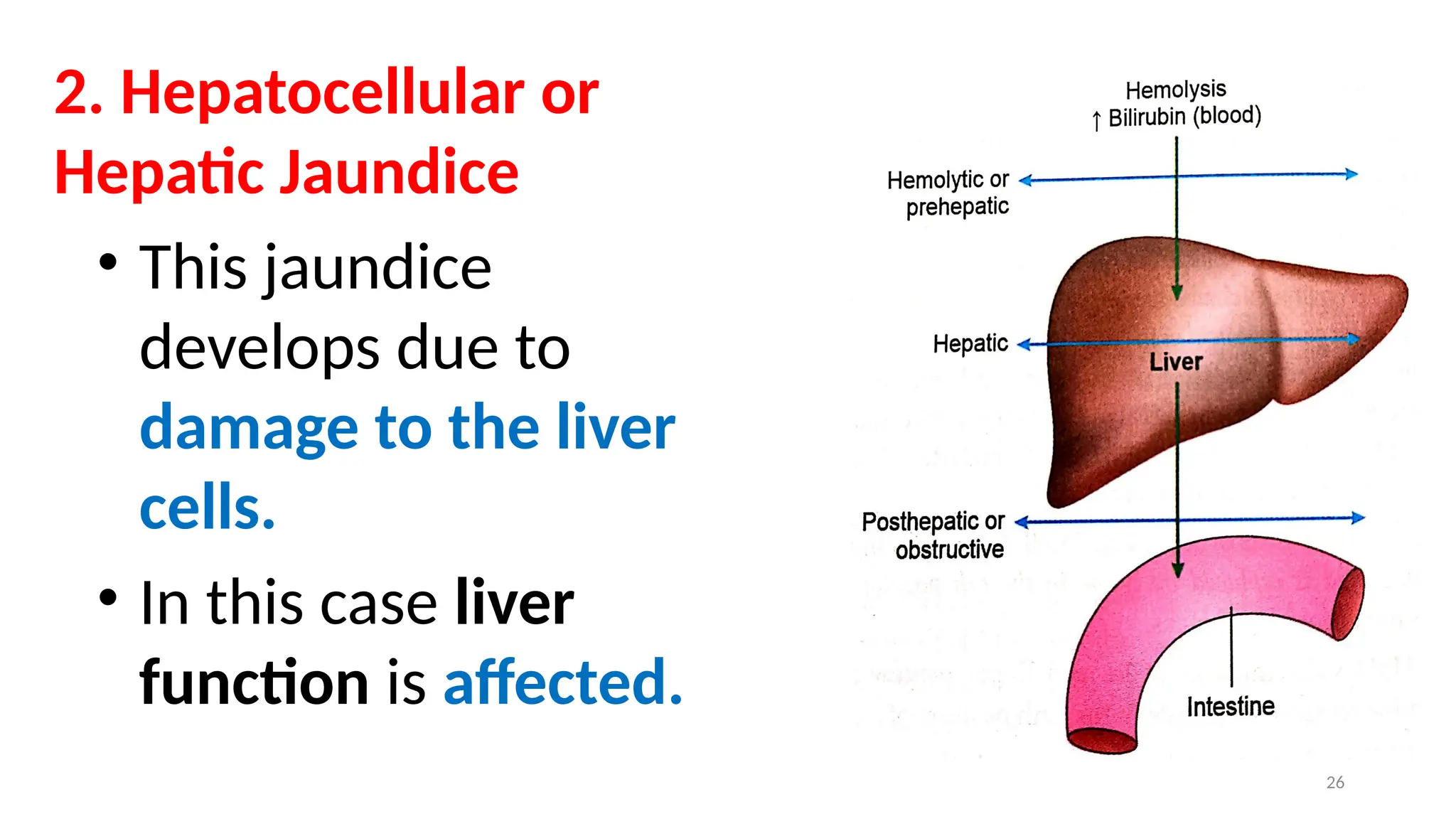 PATHOPHYSIOLOGY OF JAUNDICE AND ITS TYPES.pptx