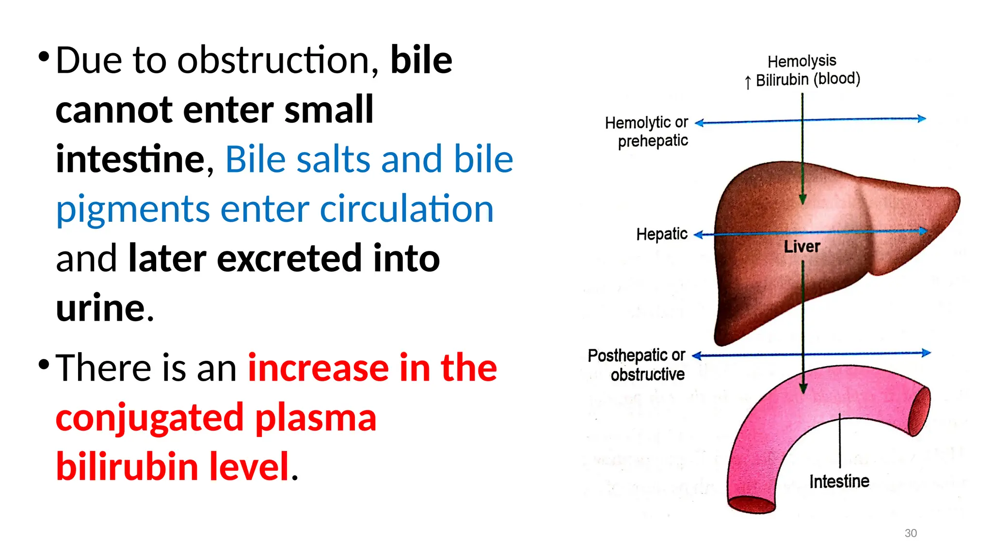 PATHOPHYSIOLOGY OF JAUNDICE AND ITS TYPES.pptx