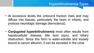 Jaundice _Pathophysiology and diagnosis an | PPT