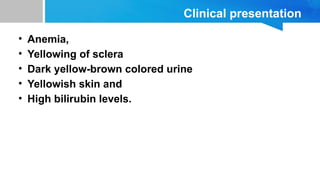 Jaundice _Pathophysiology and diagnosis an | PPTX
