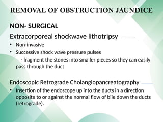 Jaundice Unveiled: Understanding Its Pathophysiology | PPTX