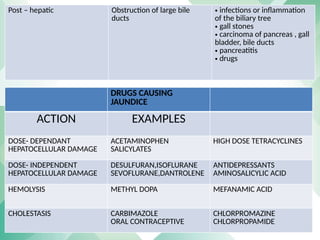 Jaundice Unveiled: Understanding Its Pathophysiology | PPTX