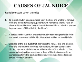 Jaundice Unveiled: Understanding Its Pathophysiology | PPTX