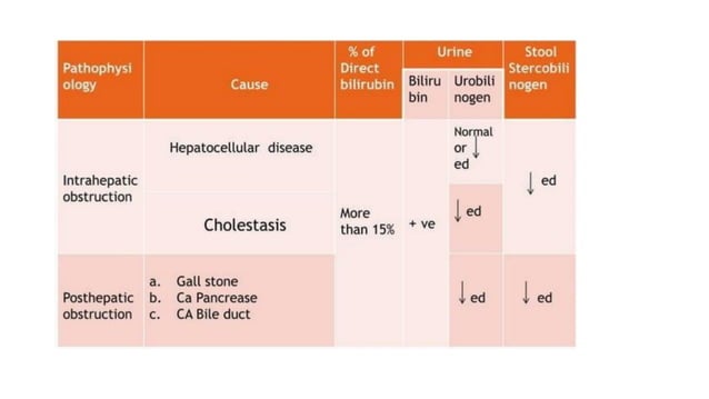 JAUNDICE.pptx, HEPATOBILIARY SYSTEM, PATHOLOGY | PPT