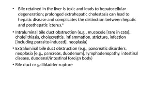 Jaundice /icterus in small animals pathophysiology of jaundice | PPTX