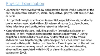 Jaundice /icterus in small animals pathophysiology of jaundice | PPTX