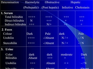 Jaundice - Liver Function Tests | PPT