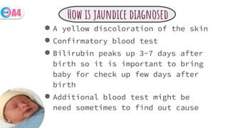 Jaundice myths and facts by a4 hospital | PPTX