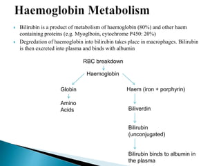 Jaundice and haemoglobinopathies | PPTX