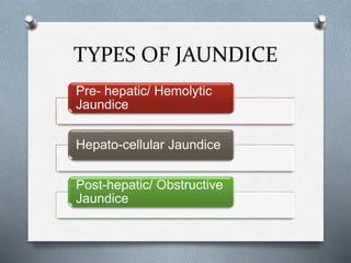 Jaundice | PPTX
