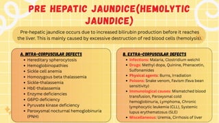Jaundice – Causes, Pathophysiology, and Management | PDF