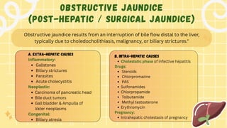 Jaundice – Causes, Pathophysiology, and Management | PDF