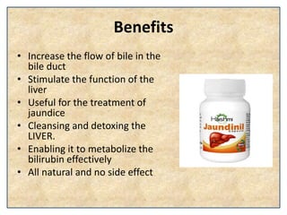 Jaundice Cure Treatment | PPTX