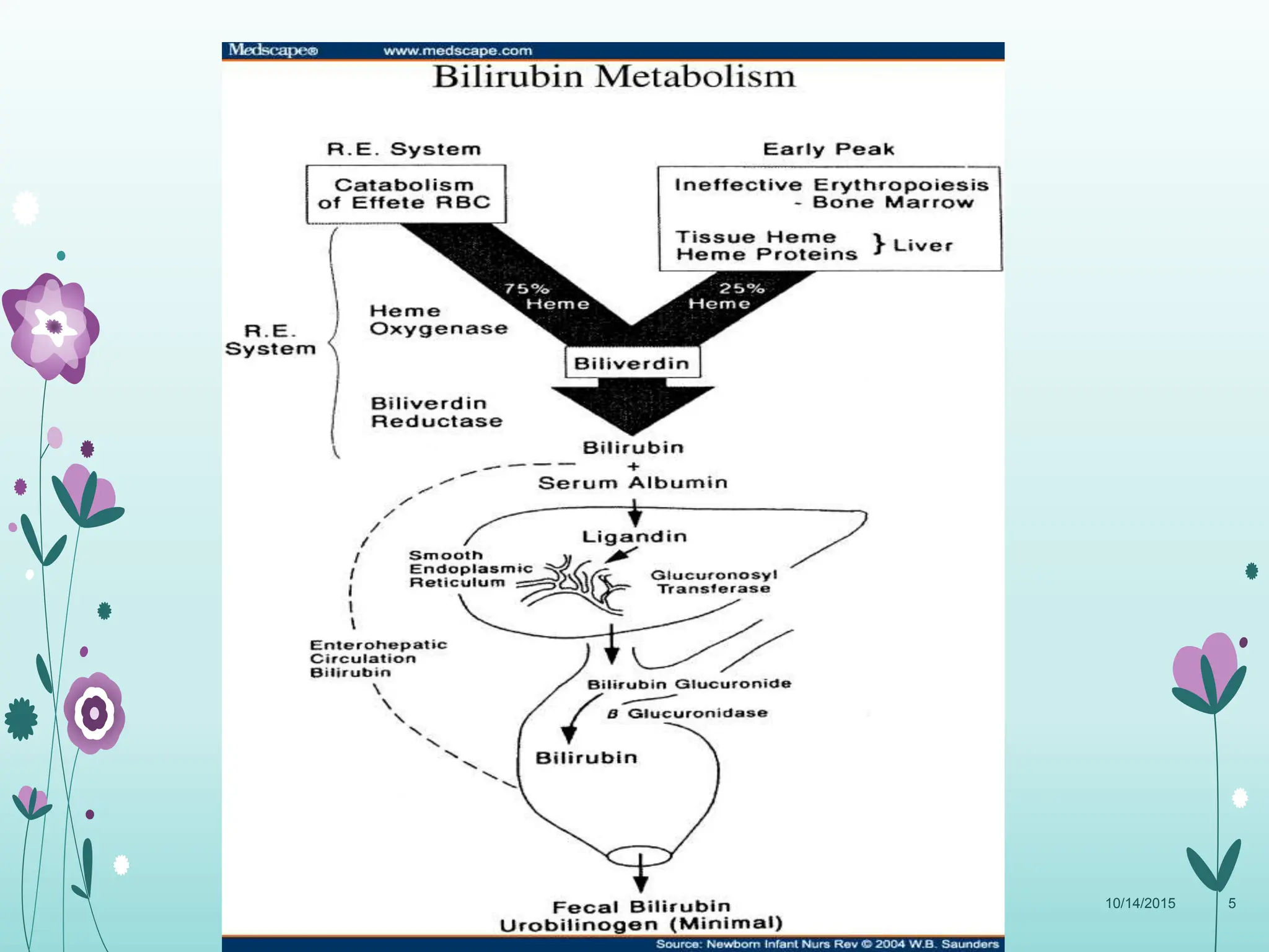 Jaundice and Hyperbilirubinemia.pptx
