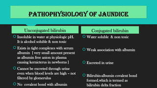 Jaundice and Cholestasis: Pathophysiology.pptx