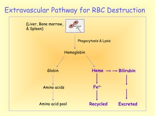 Biochemical profile of Jaundice MUHAMMAD MUSTANSAR | PPT