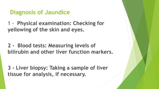 Jaundice :Definition, diagnosis, Causes. | PPTX