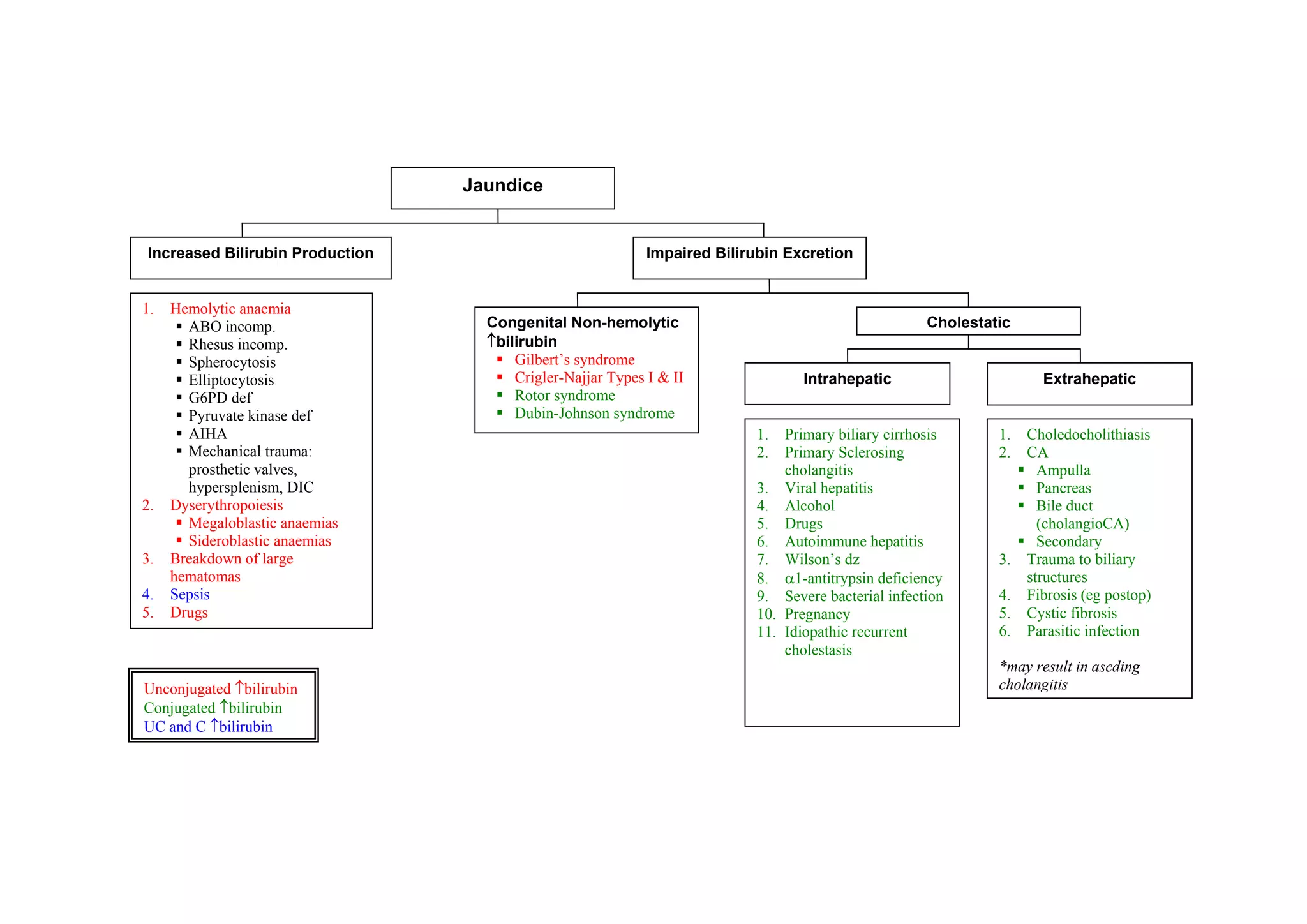 Jaundice classification in adults summary | PPT