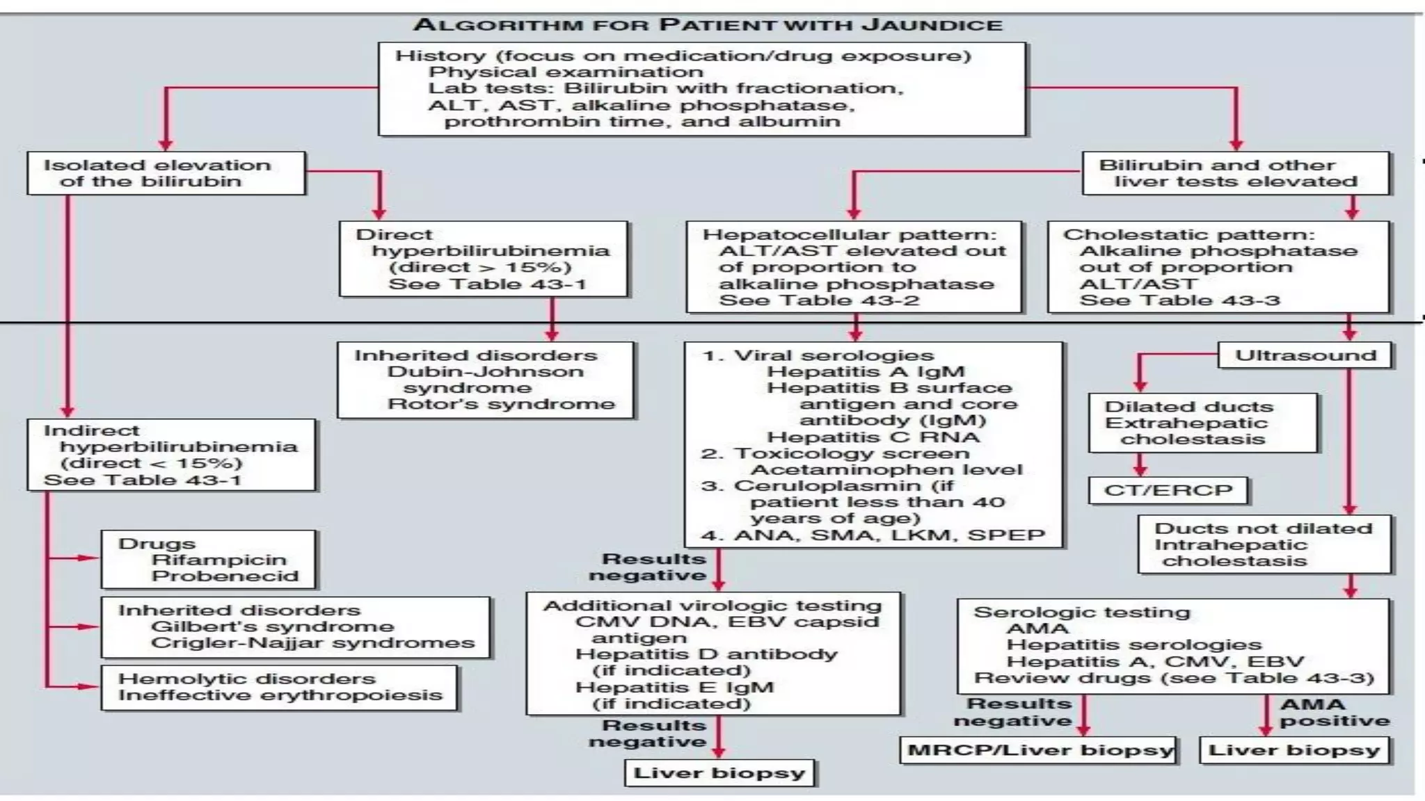 Approach to a patient with JAUNDICE | PDF