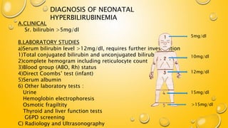 Jaundice in newborn | PPTX