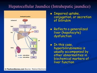Jaundice (new).ppt | Digestive Disorders | Diseases and Conditions