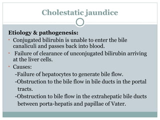 Jaundice pathology | PPT