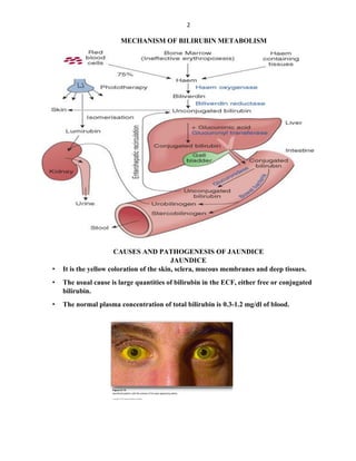 jaundice presentation portable display format pdf.pdf