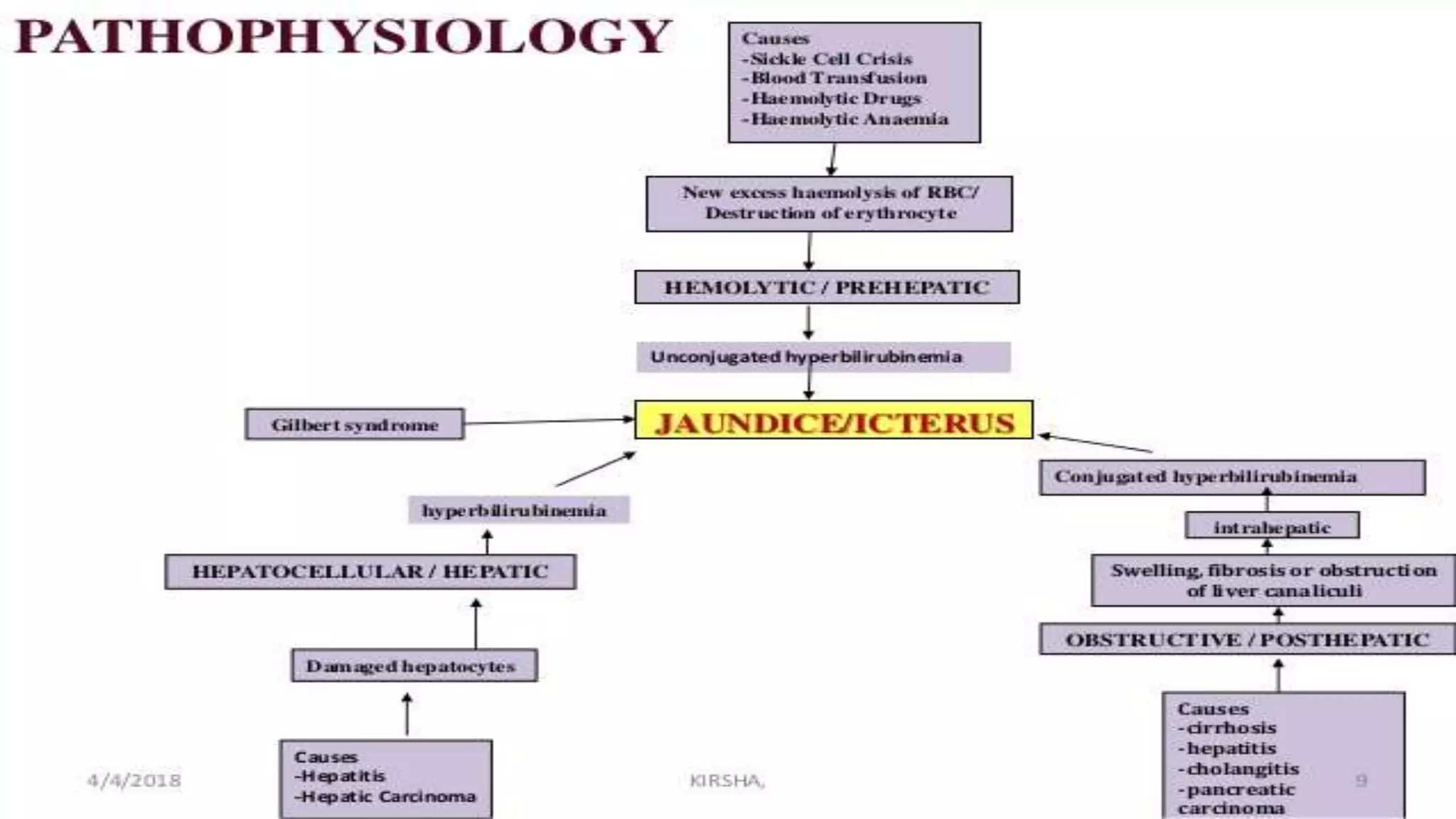 CASE PRESENTATION ON JAUNDICE | PPTX