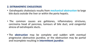 Jaundice_Pathopysiology_RDP | PPTX