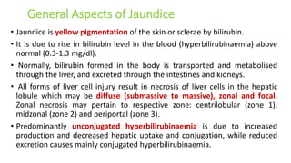 Jaundice_Pathopysiology_RDP | PPTX